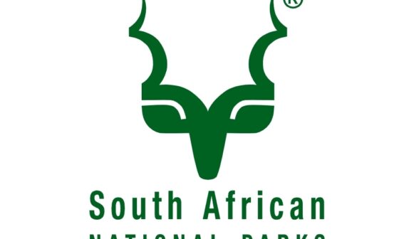Motus: Human Resources Intern / Graduate Programme 2026 - Jobs South Africa